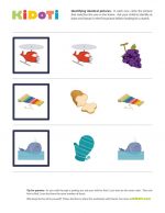 Identify Identical Picture – KiDOTI