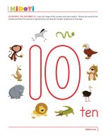 Learning Numbers – KiDOTI